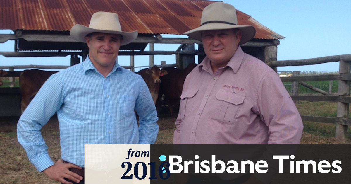 Queensland's regional politicians spending $90,000 each on travel Queensland's regional politicians spending $90,000 each on travel